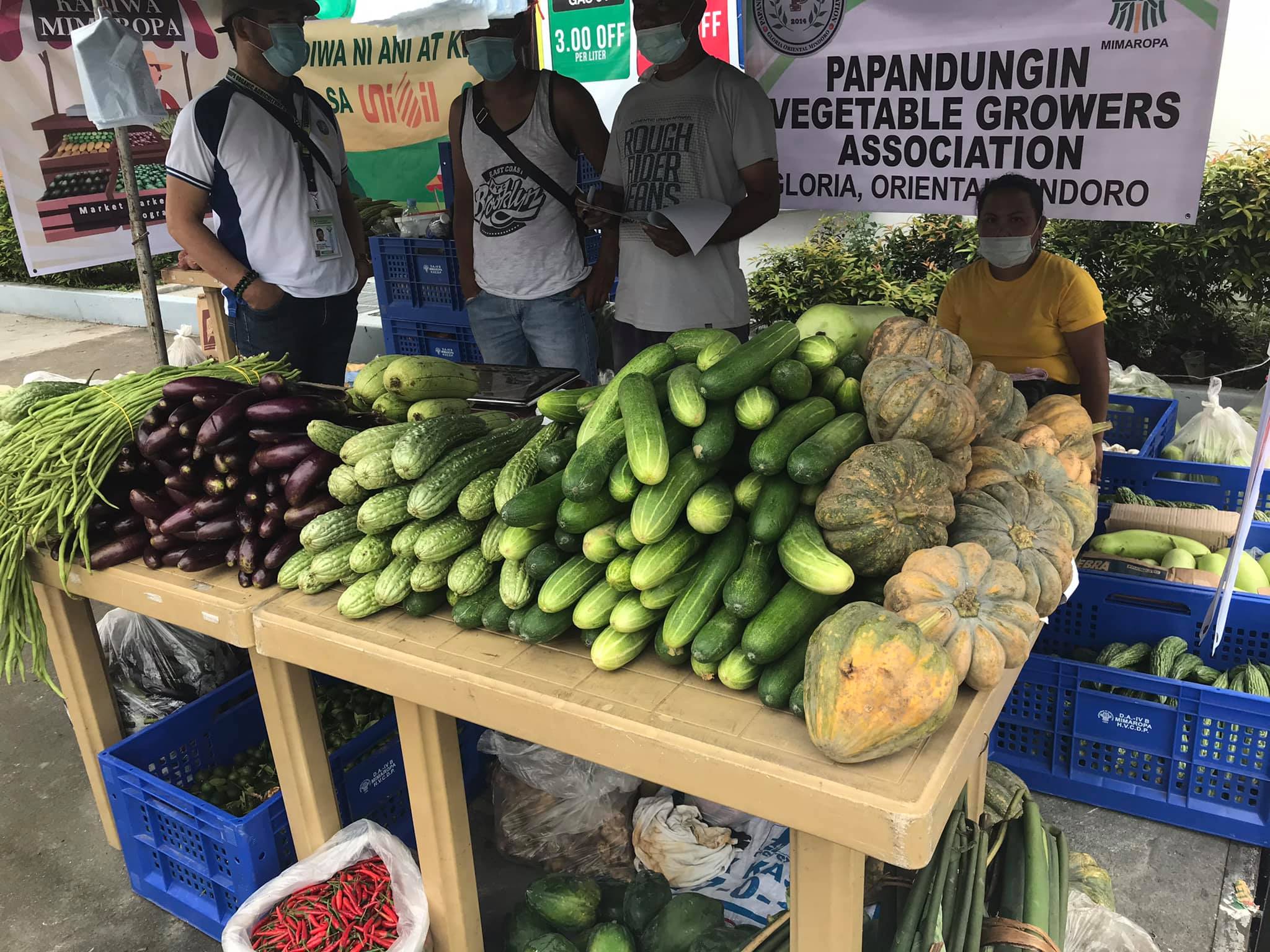 The Spark Project - Beyond FarmVille and Convention: Tagani and The ...